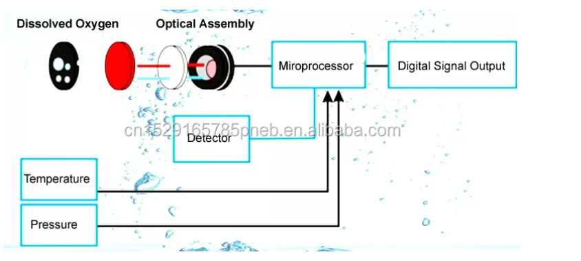 Dissolved Oxygen Sensor - Okensensor